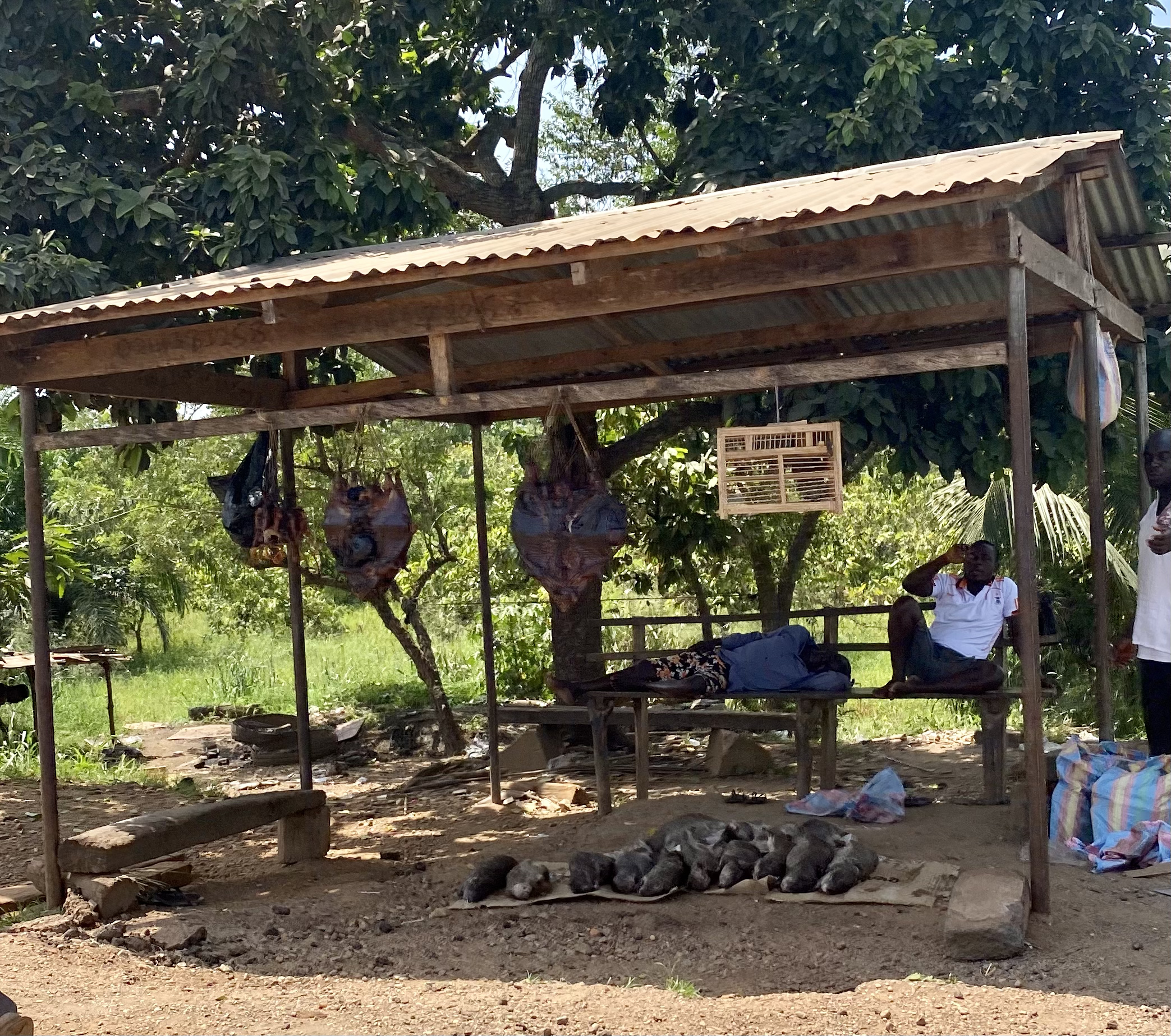 A Cultural Exploration Through Ghana: Navigating the Intriguing World ...