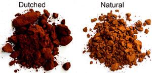 Cocoa powder what is it and how to use it?