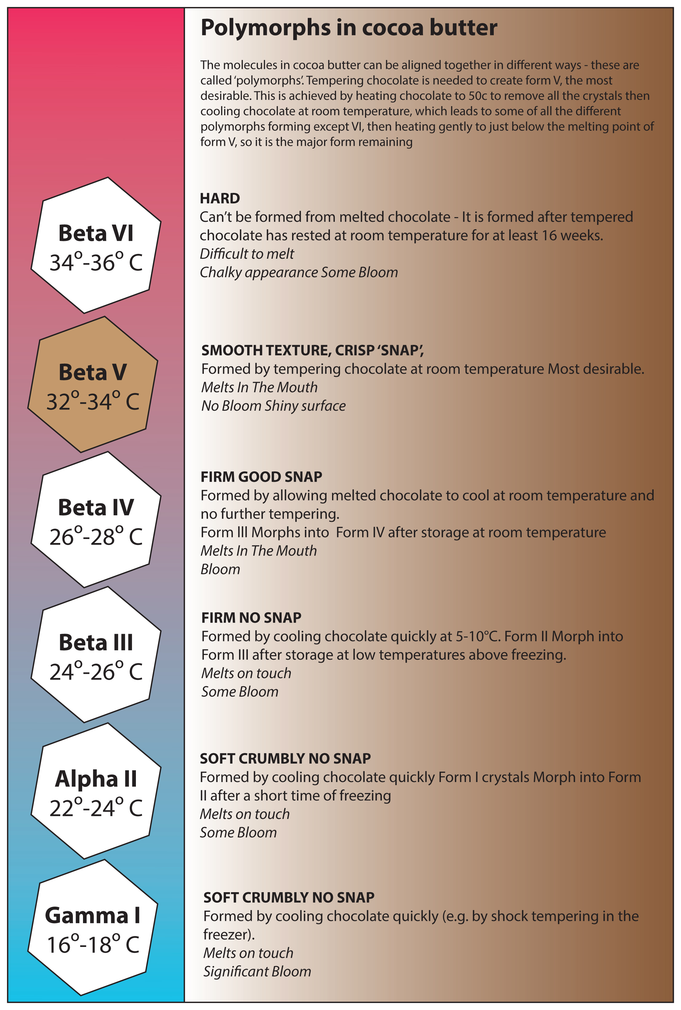 Cocoa bloom explained