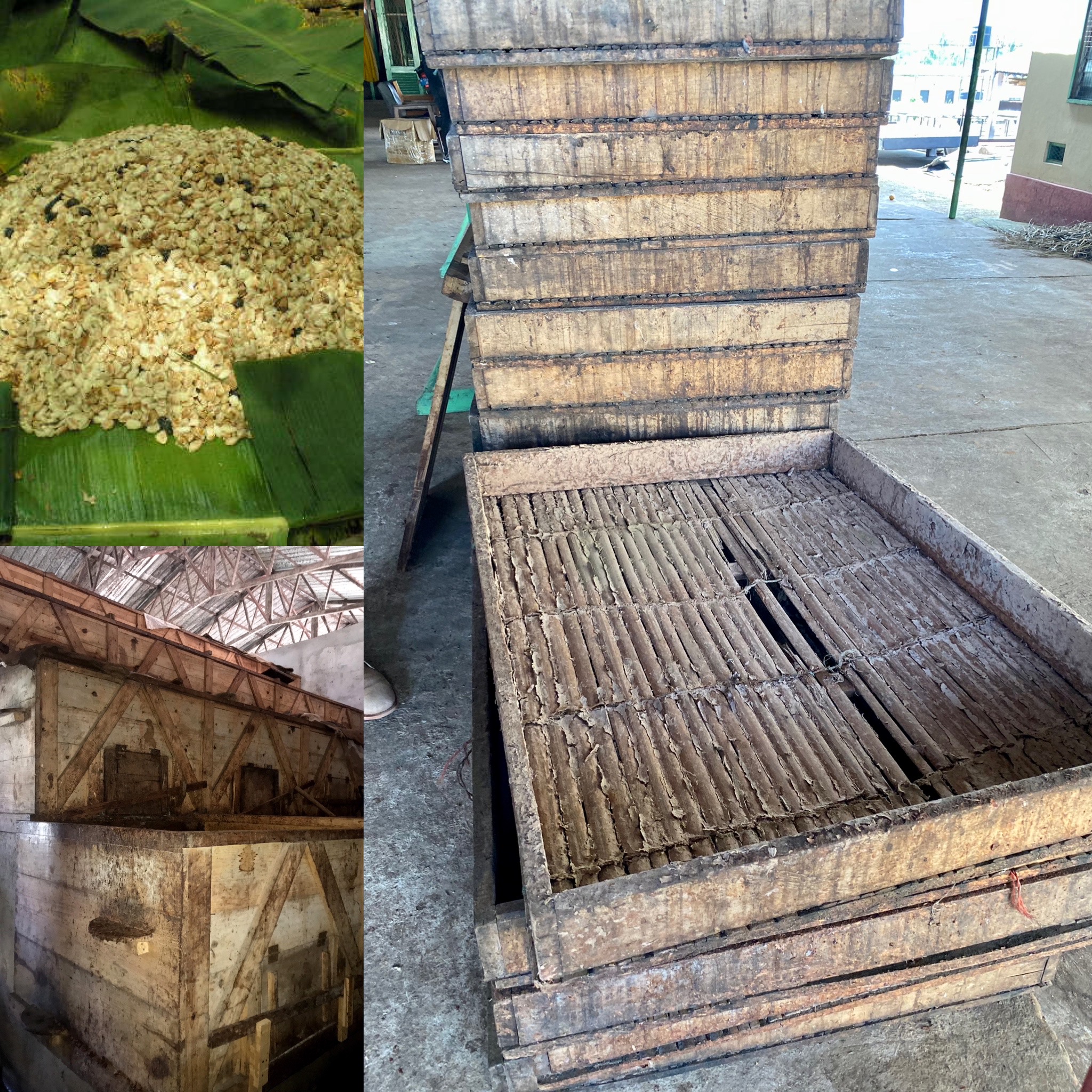 Tray fermentation unlocking the full flavour potential of chocolate.